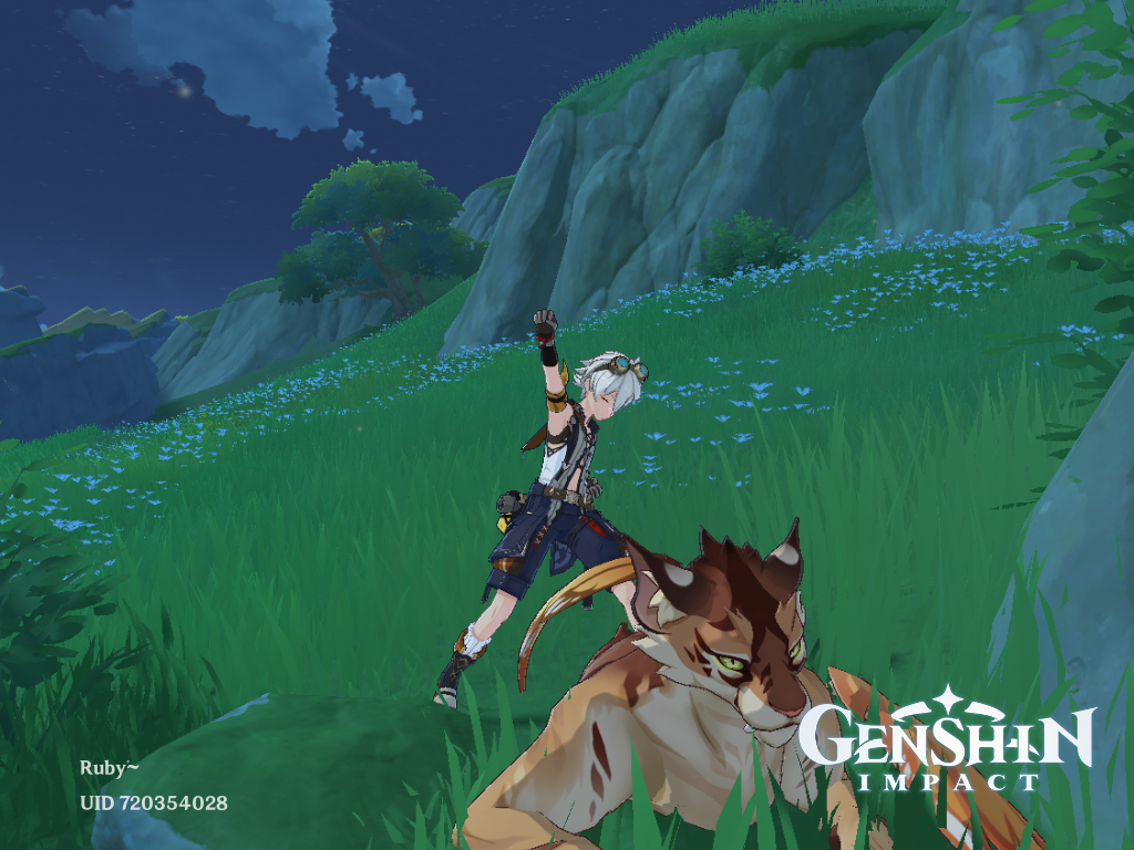 it's cat or tiger Genshin Impact | HoYoLAB