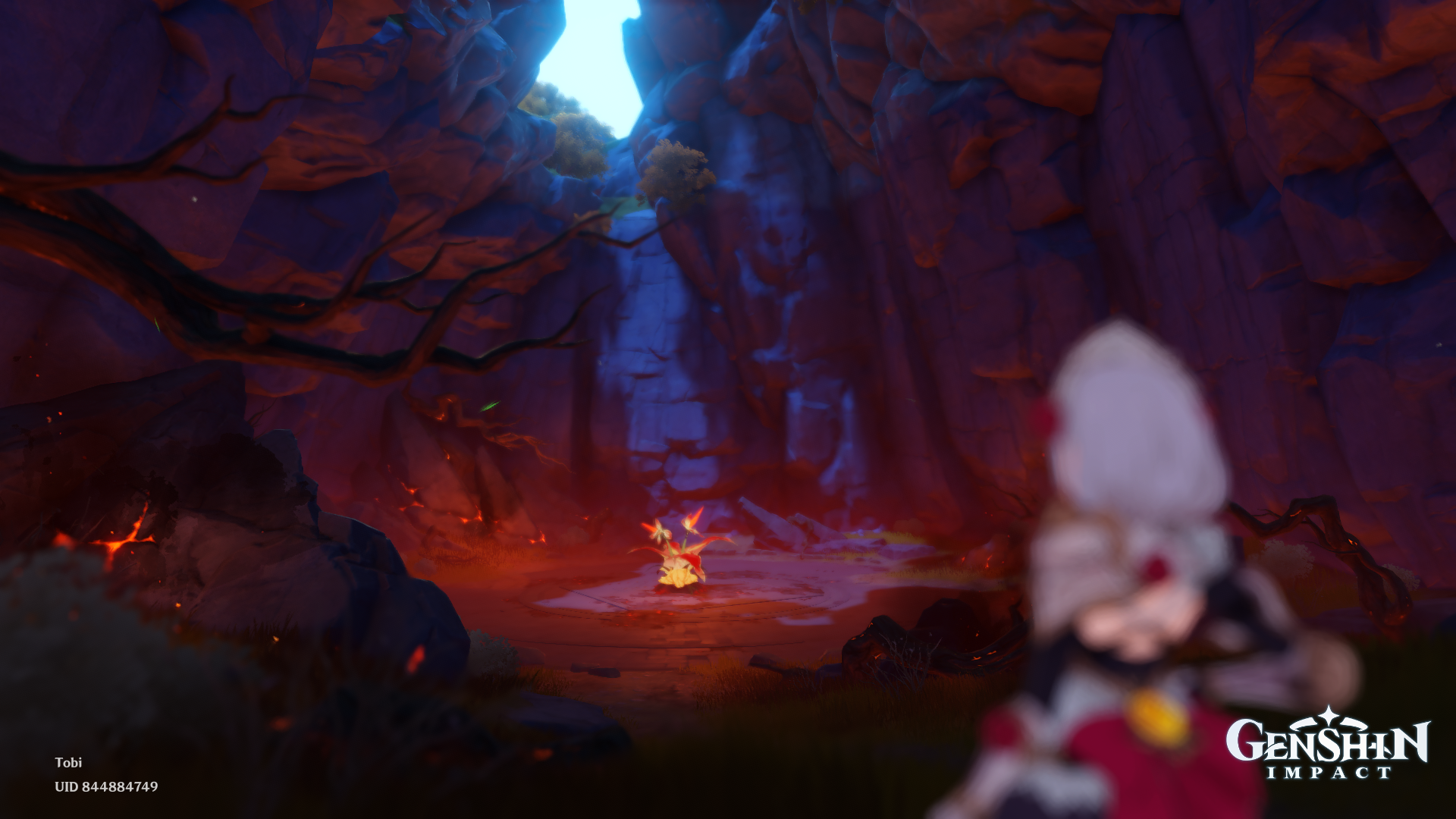 pyro regisvine Genshin Impact | HoYoLAB