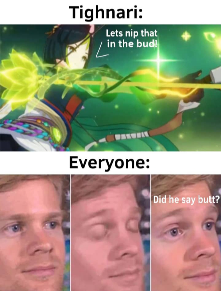 Sumeru memes Genshin Impact | HoYoLAB