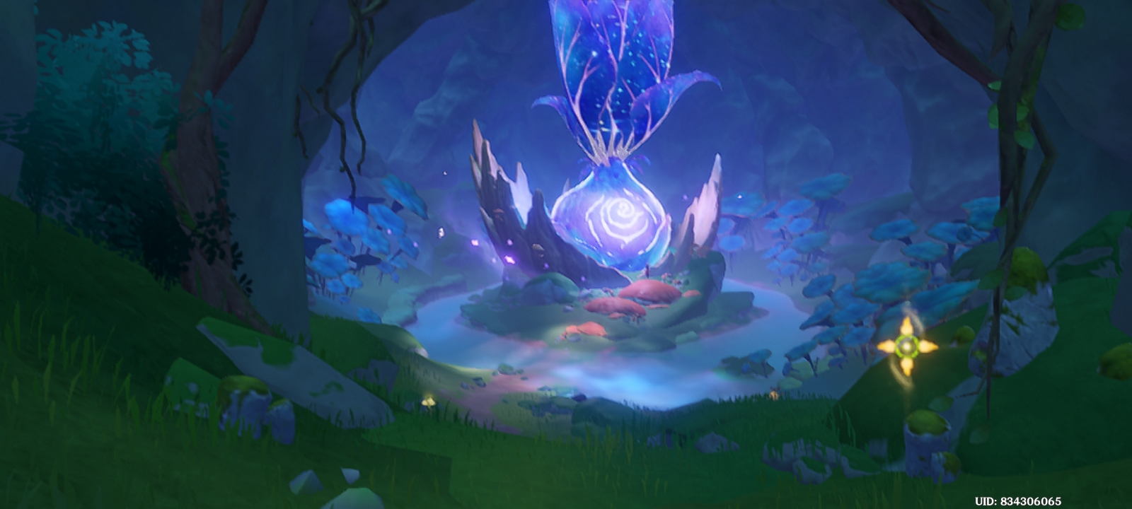 Sumeru's Special Creatures Genshin Impact | HoYoLAB