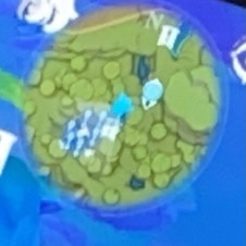 I had a moment of panic ngl Genshin Impact | HoYoLAB