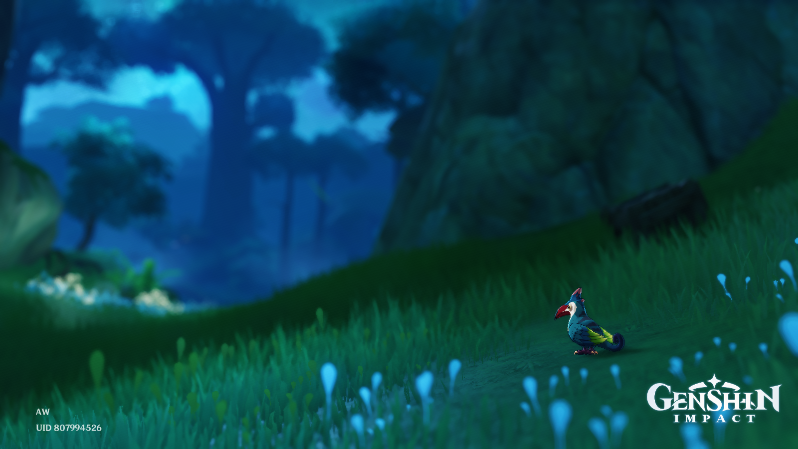 Journey in Sumeru Region Genshin Impact | HoYoLAB