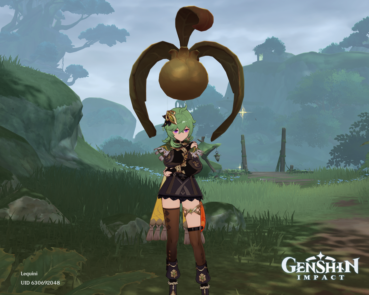 Exploring the Sumeru Map! Genshin Impact | HoYoLAB