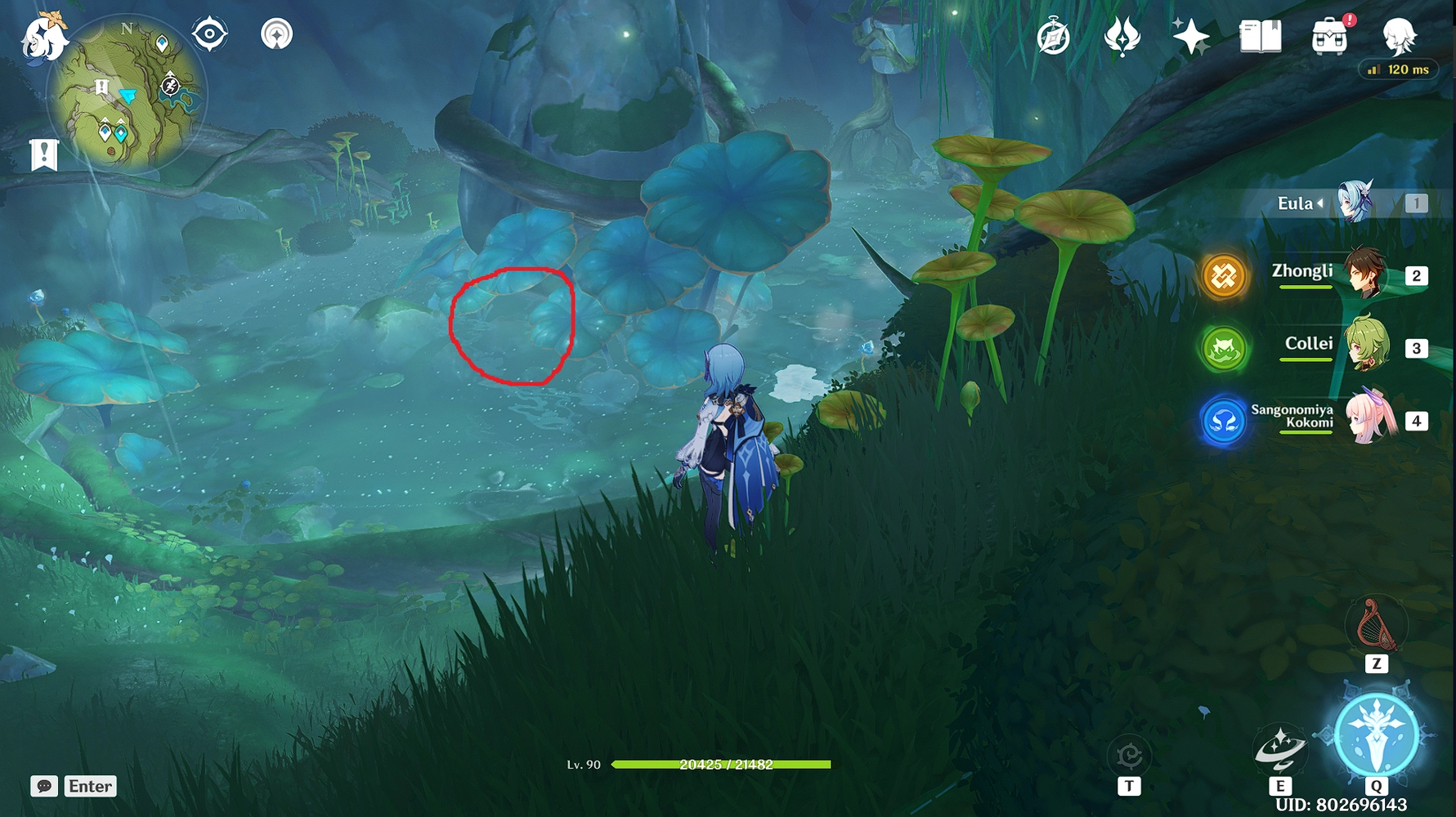 Araminali's Hidden Aranara and Remarkable Chest (7 Primo + 1 Aranara ...