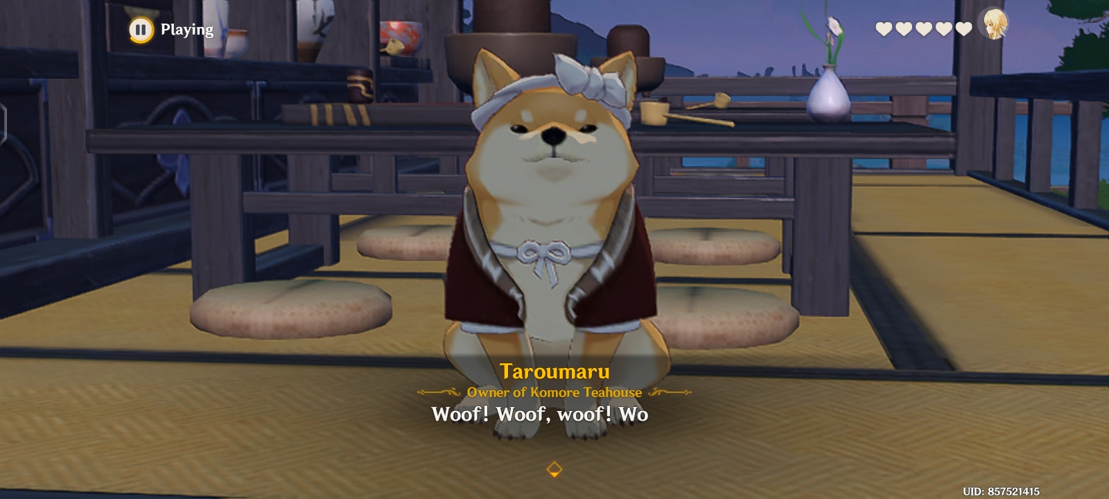 woof Genshin Impact | HoYoLAB