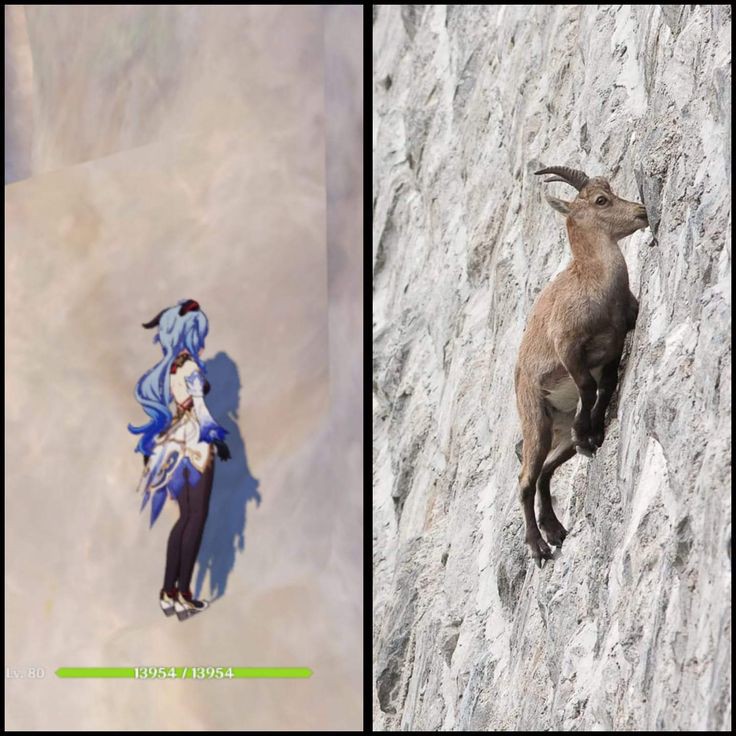 Cute Goat !! Genshin Impact | HoYoLAB