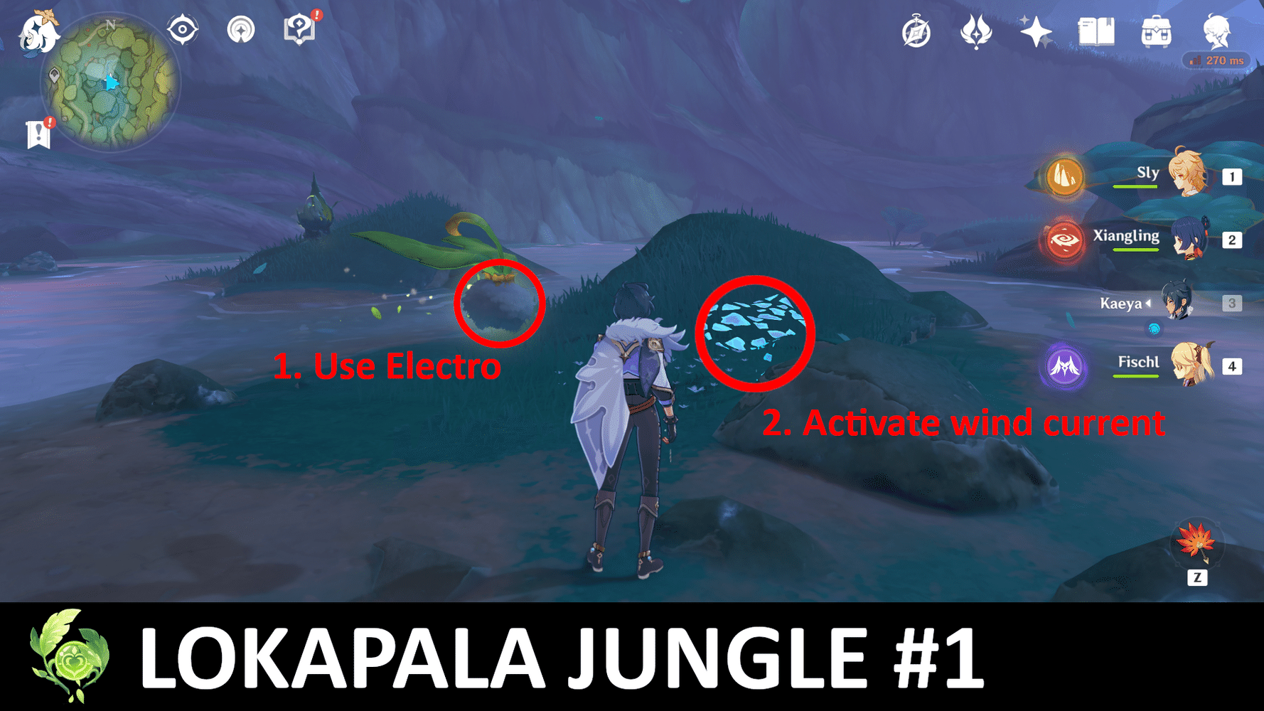 [Version 3.0] Dendroculus Guide (All Dendroculi locations + Search ...