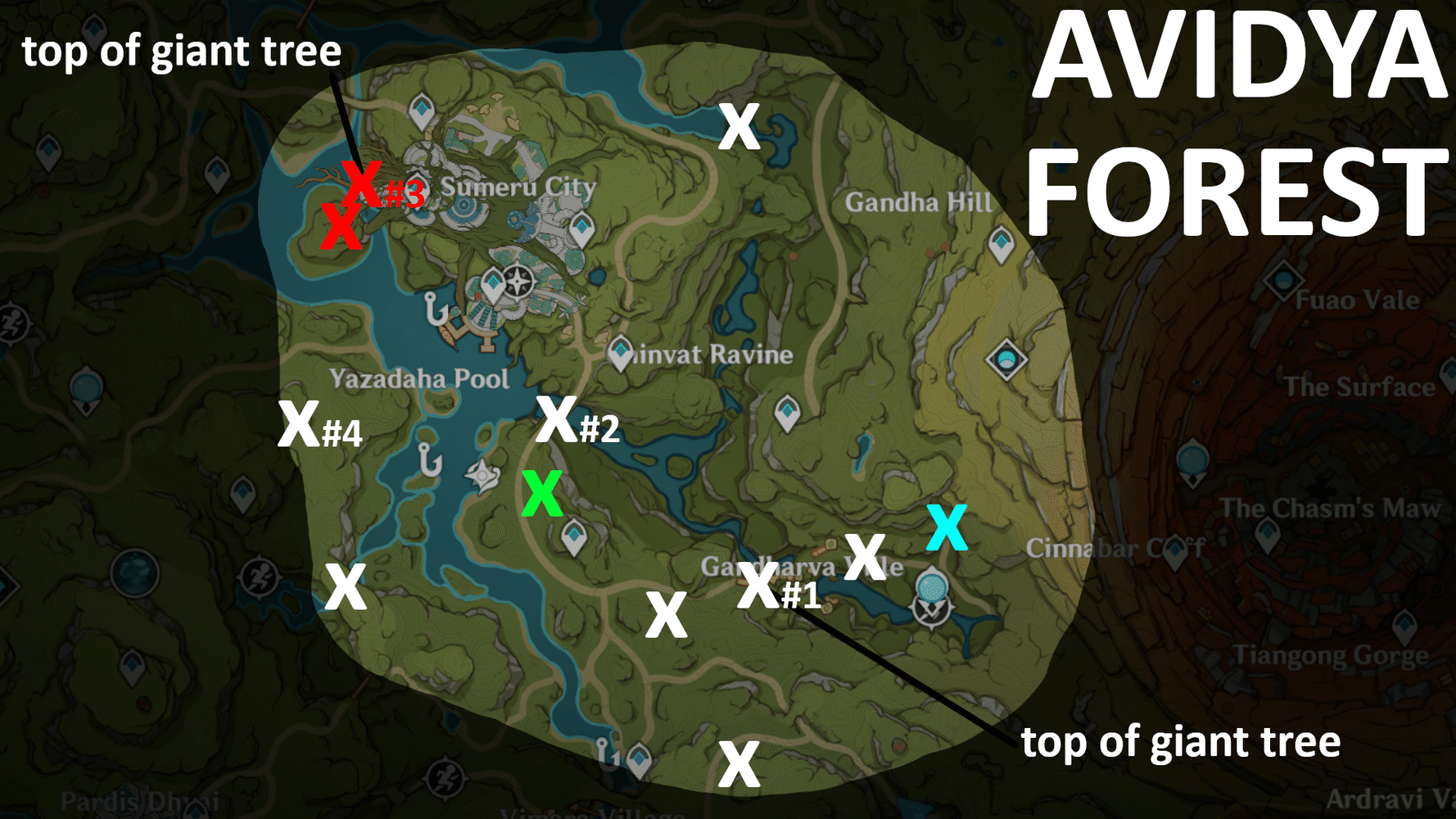 [Version 3.0] Dendroculus Guide (All Dendroculi locations + Search ...