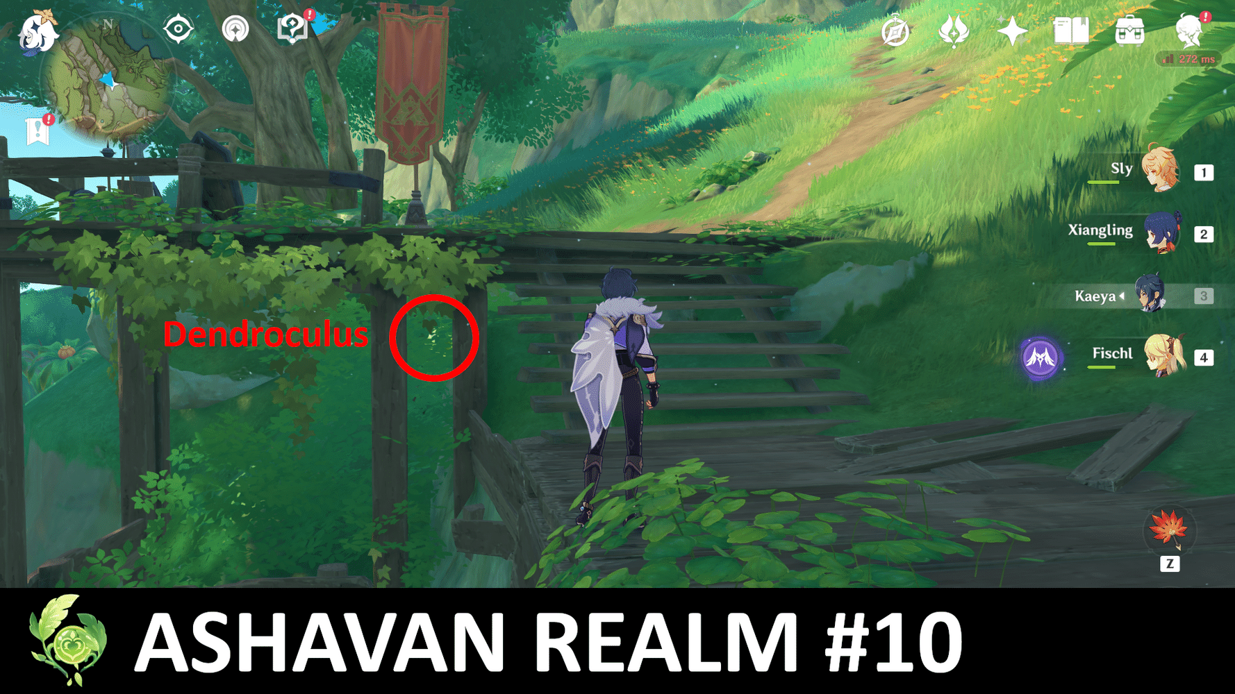 [Version 3.0] Dendroculus Guide (All Dendroculi locations + Search ...