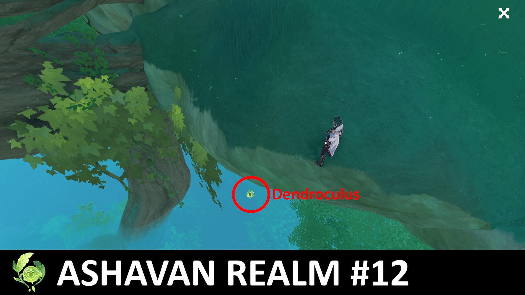 [Version 3.0] Dendroculus Guide (All Dendroculi locations + Search ...