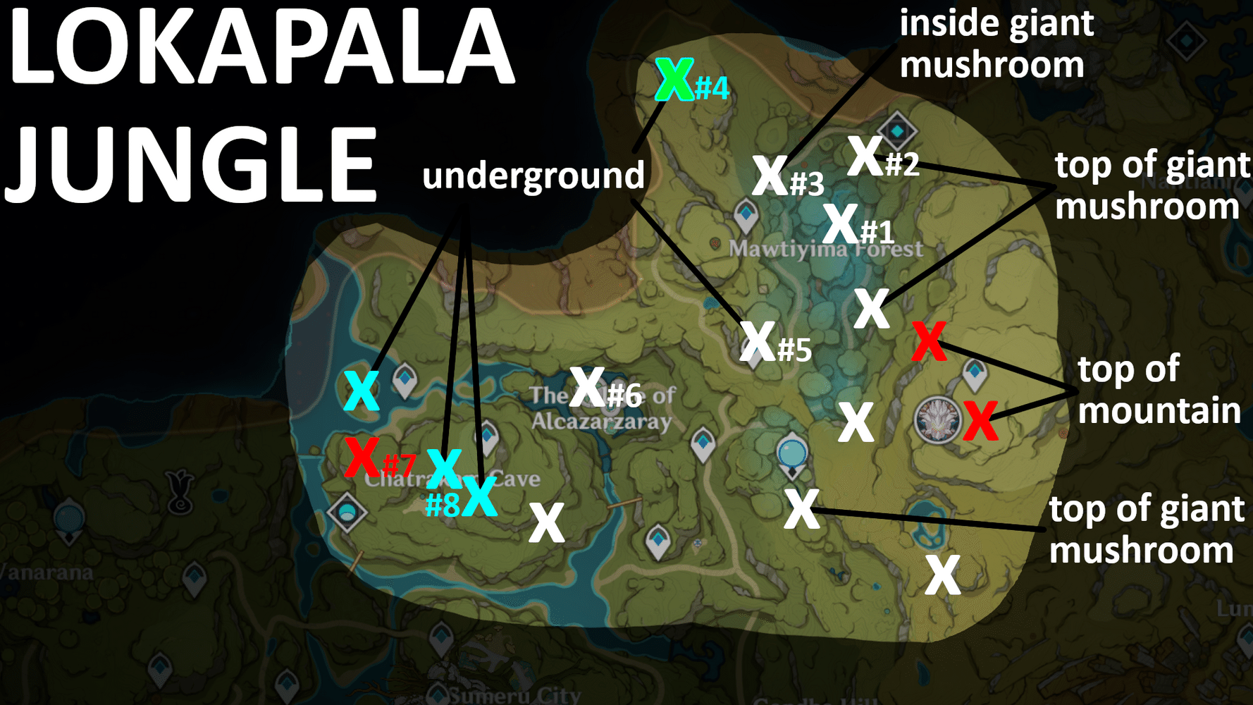 [Version 3.0] Dendroculus Guide (All Dendroculi locations + Search ...