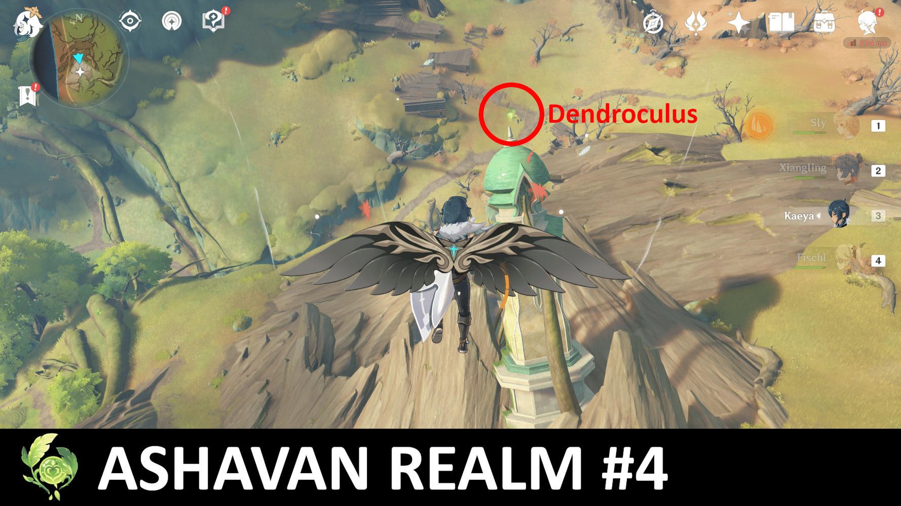 [Version 3.0] Dendroculus Guide (All Dendroculi locations + Search ...