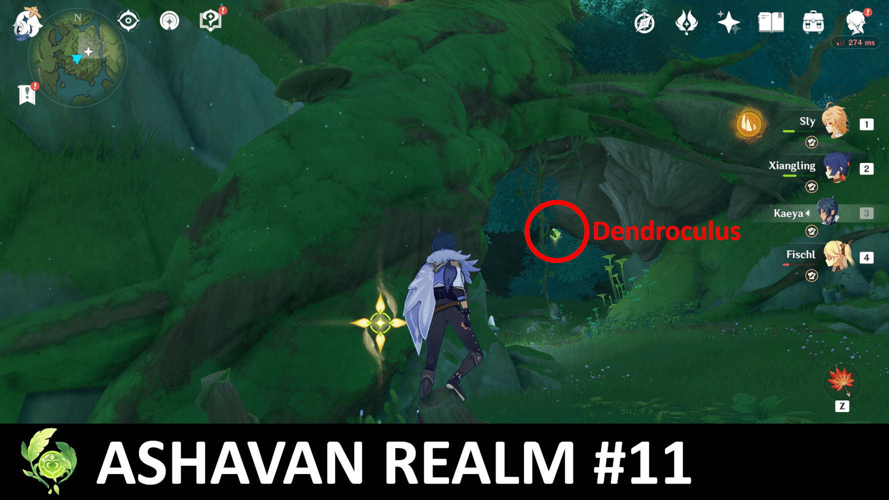[Version 3.0] Dendroculus Guide (All Dendroculi locations + Search ...