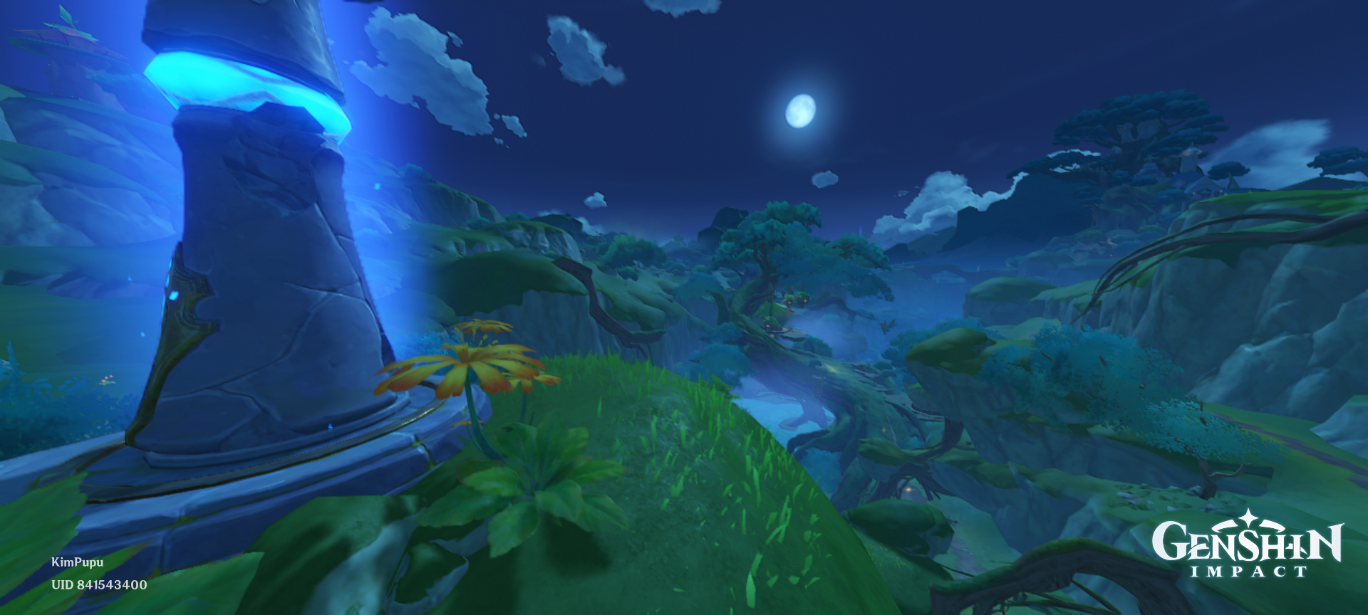 Moon of Sumeru Genshin Impact | HoYoLAB