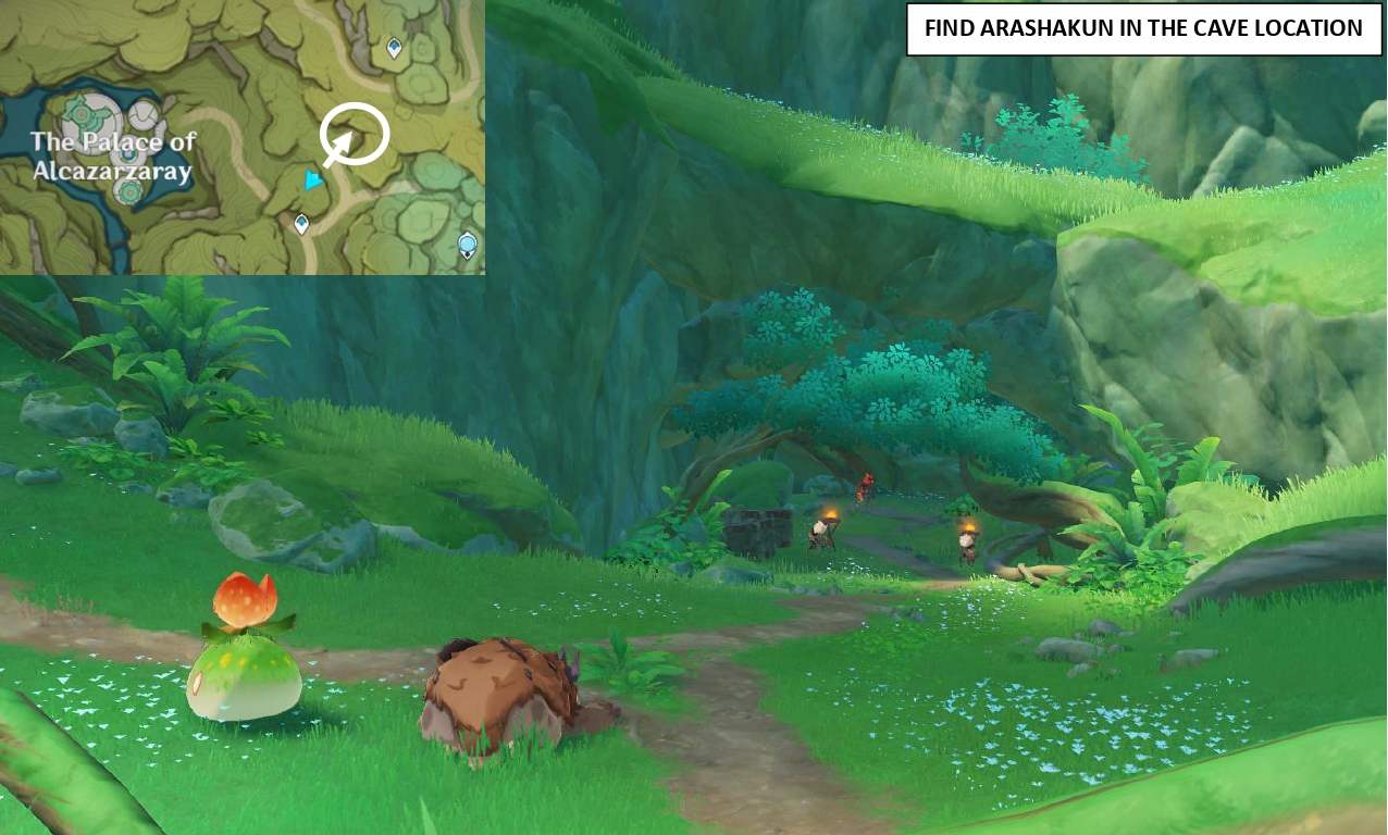 [Exploration Guide - Sumeru] Find Arashakun in the Cave Location ...
