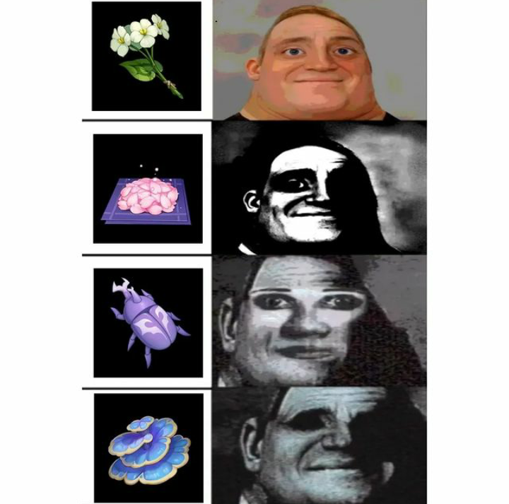 Collei Memes Genshin Impact | HoYoLAB