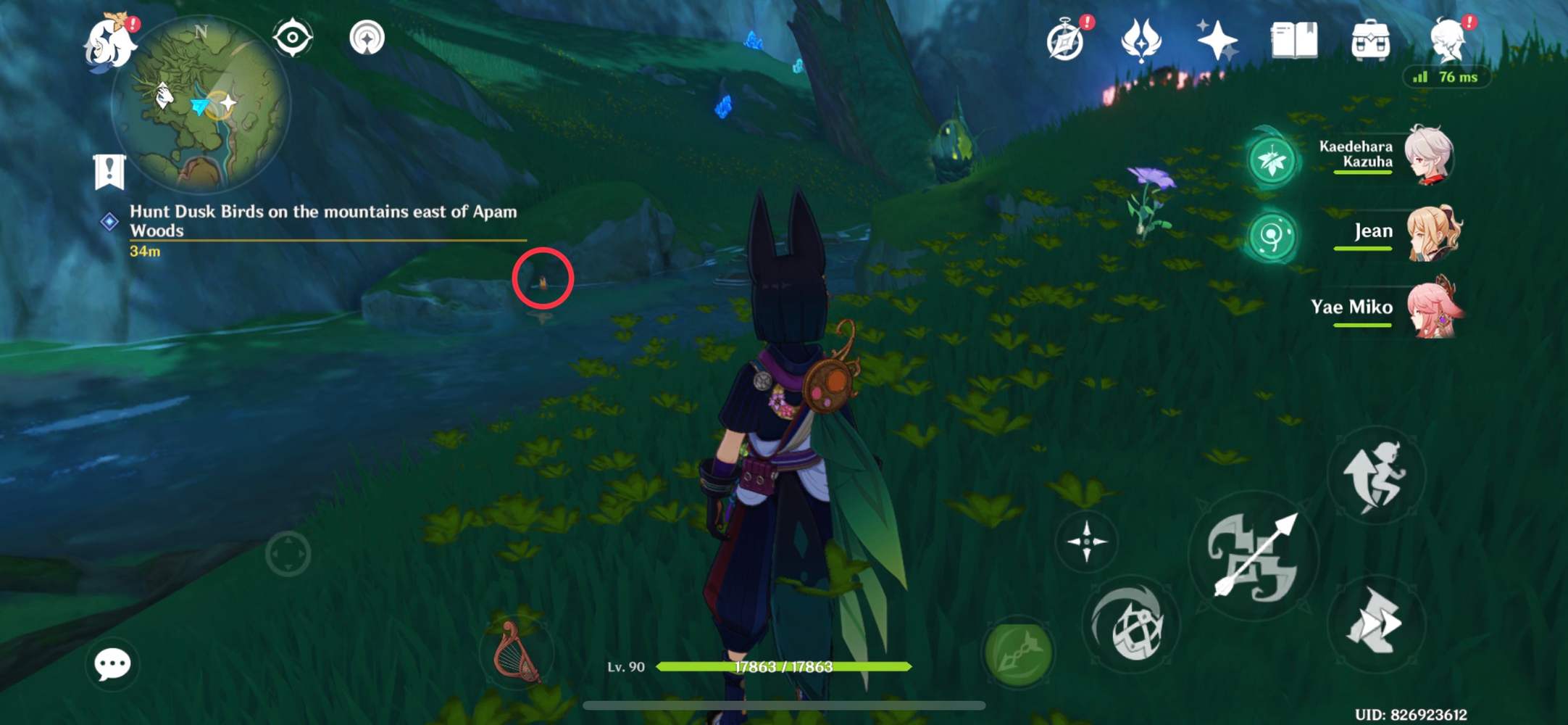 A Short Encounter with a Rare Bird World Quest (Sumeru Reputation ...