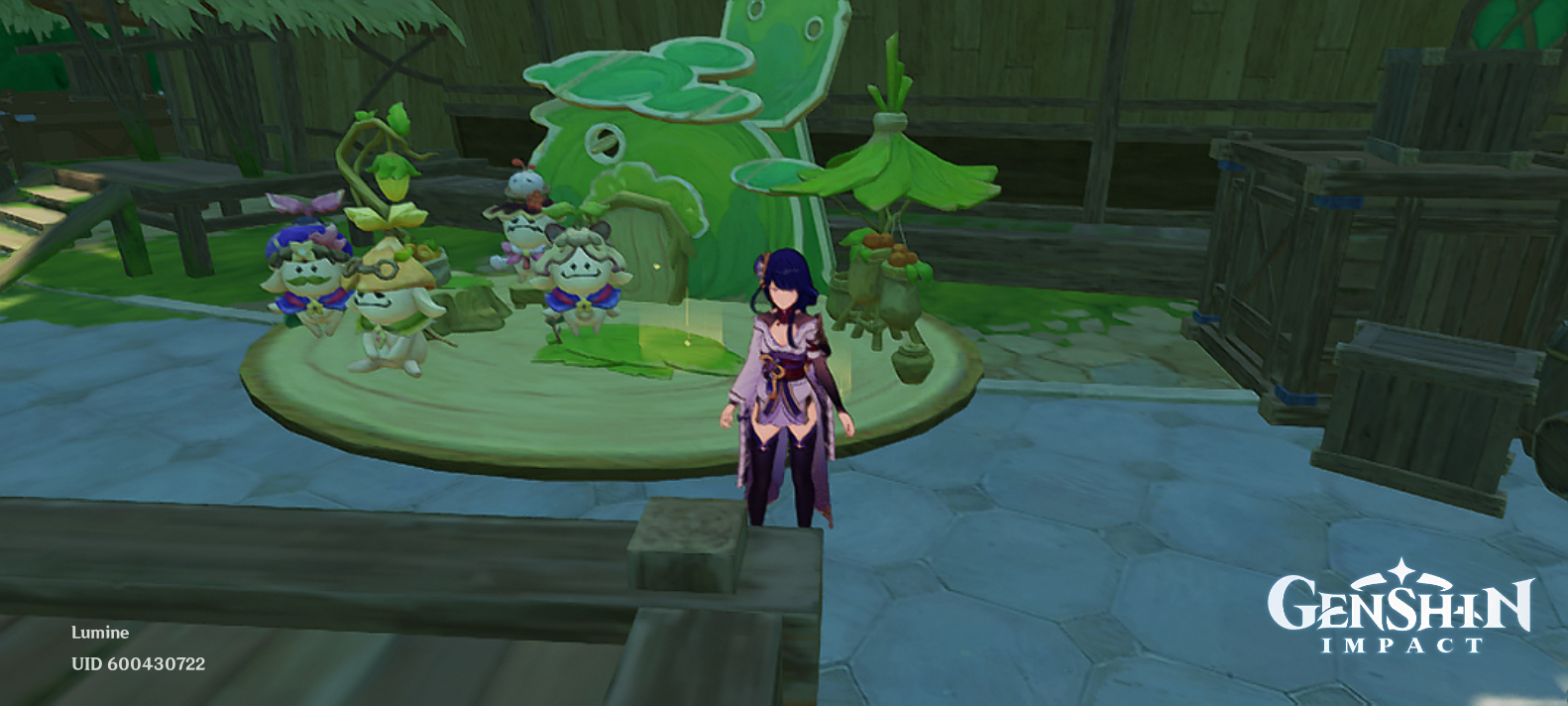 My Aranara showcase Genshin Impact | HoYoLAB