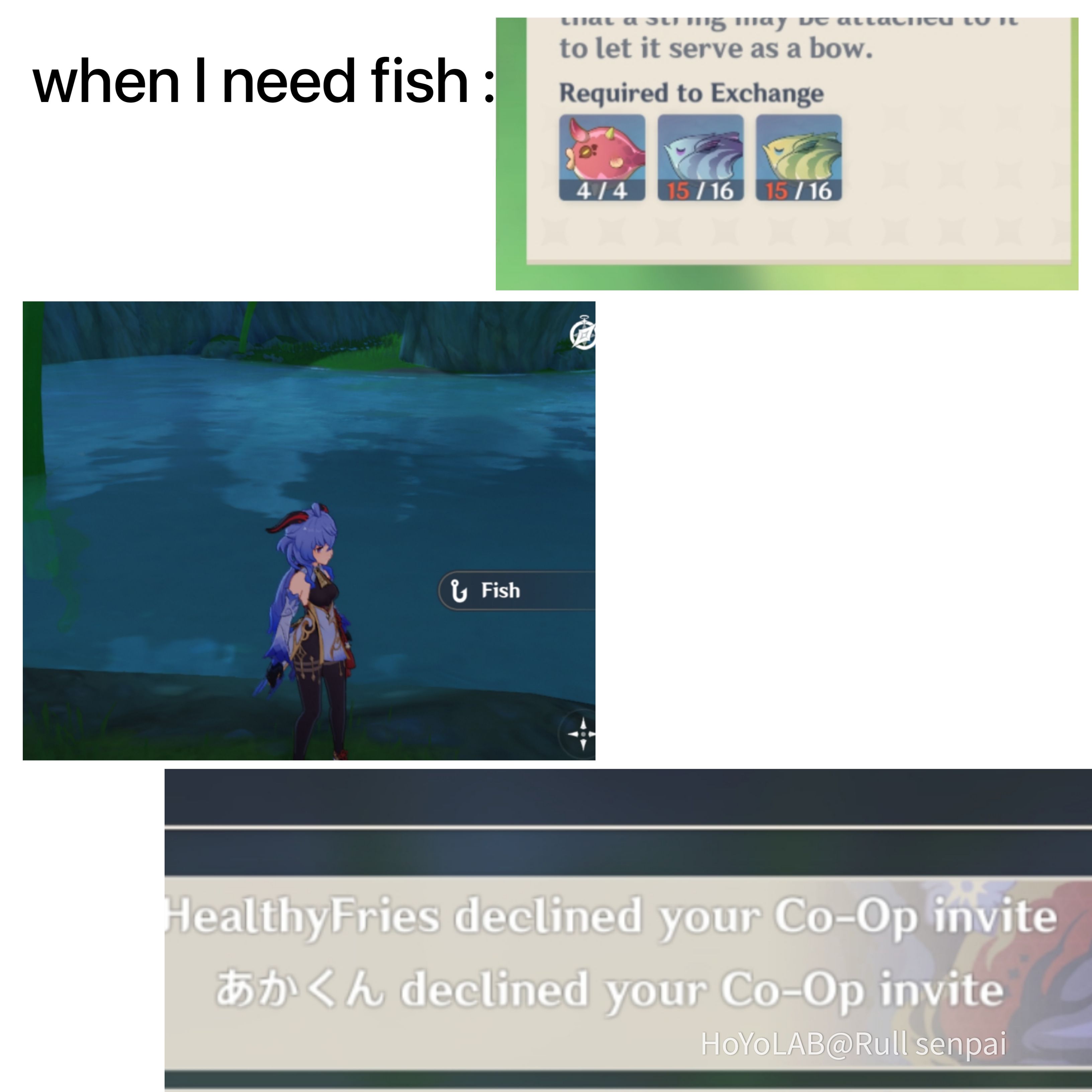 when you need fish Genshin Impact | HoYoLAB