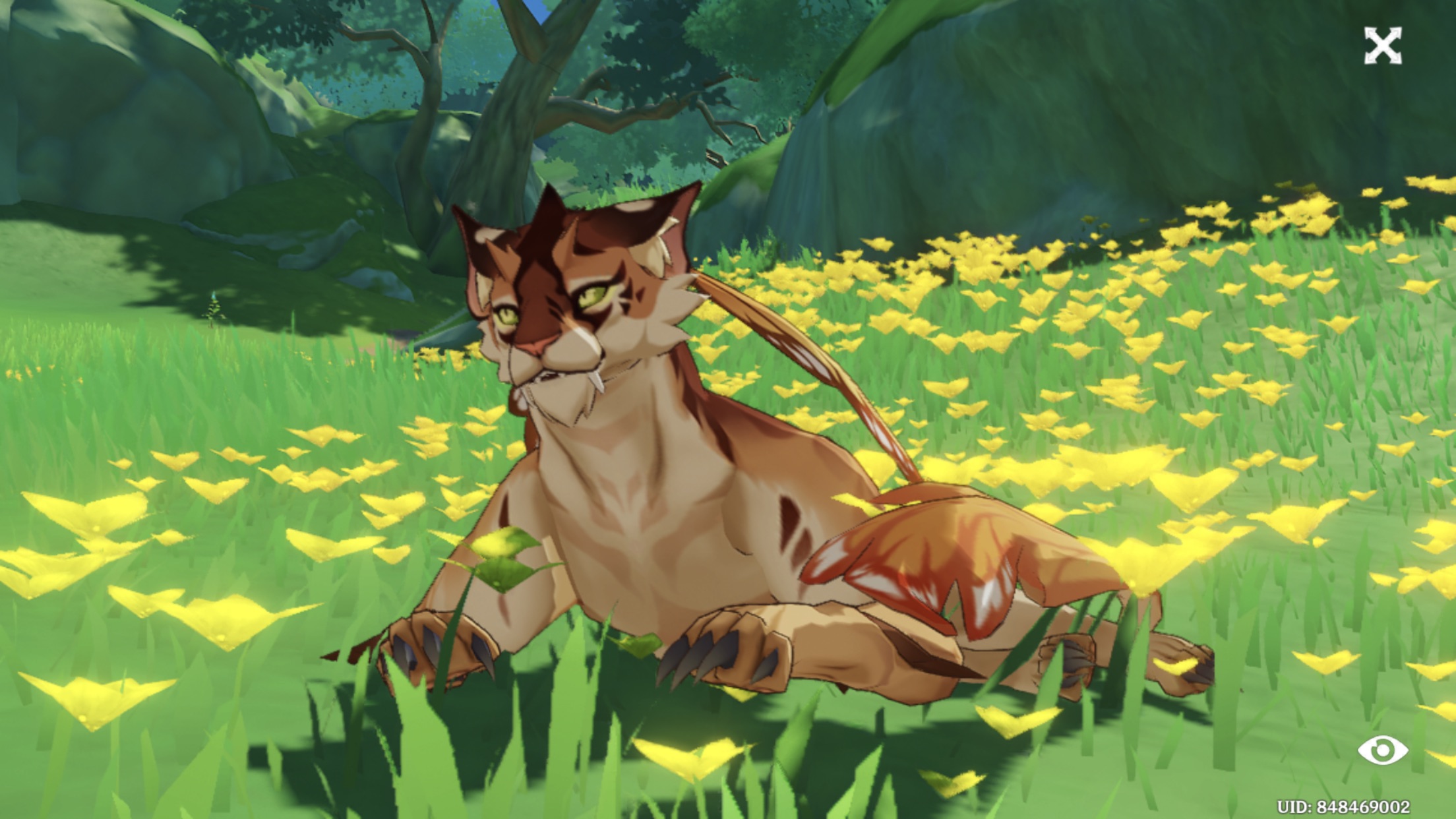 Rishboland Tiger Genshin Impact | HoYoLAB