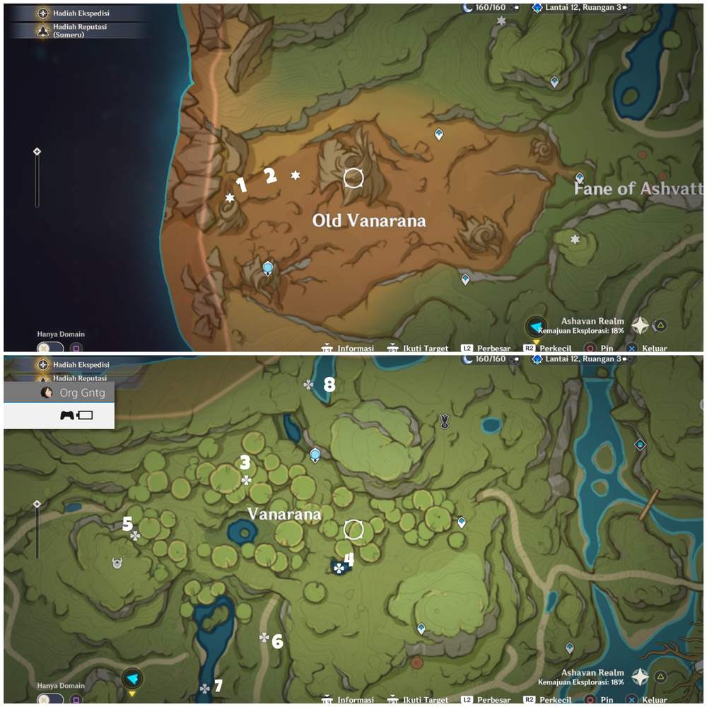 [V3.0] Seluruh Lokasi 110 Dendroculus Di Sumeru Genshin Impact | HoYoLAB