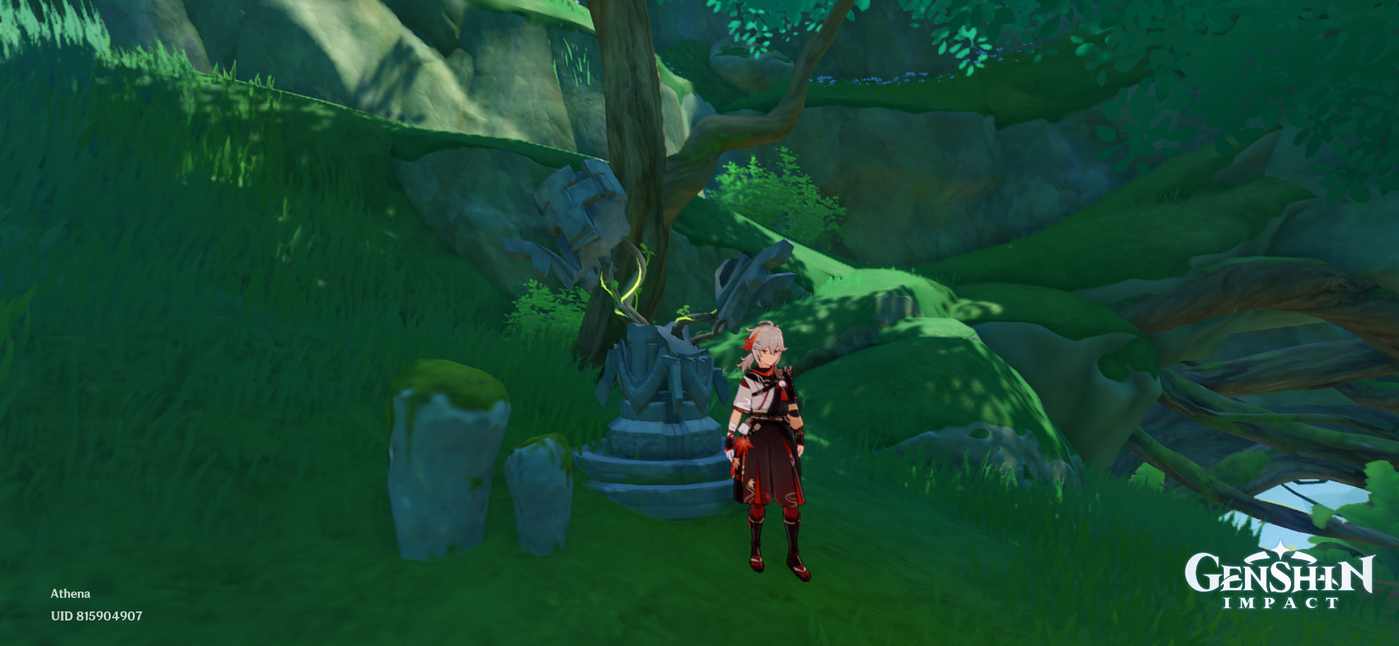 Exploring the sumeru map Genshin Impact | HoYoLAB