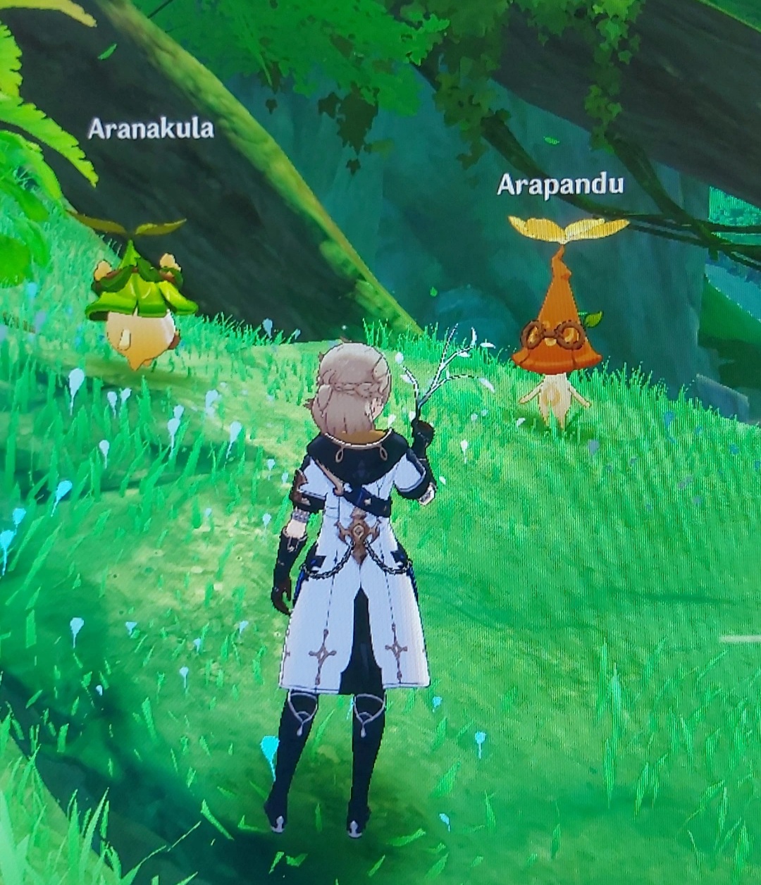 Aranara cuteness x100 Genshin Impact | HoYoLAB