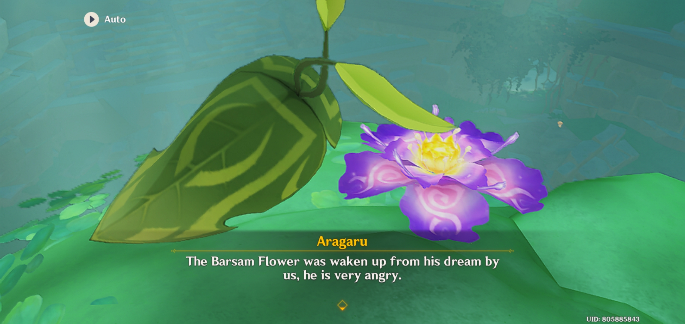 Sumeru adventure diary: 5 Sept-The flowers here in Sumeru are so pretty ...