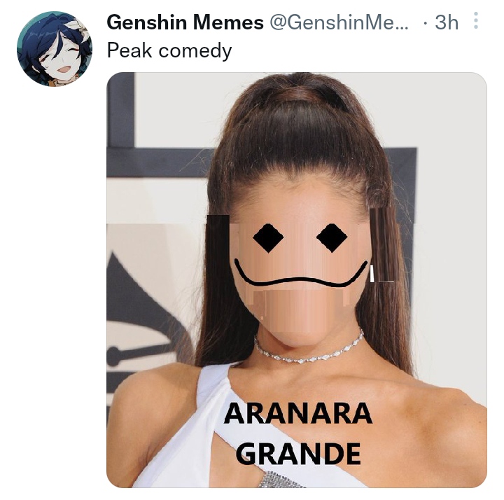 Peak meme... Genshin Impact | HoYoLAB