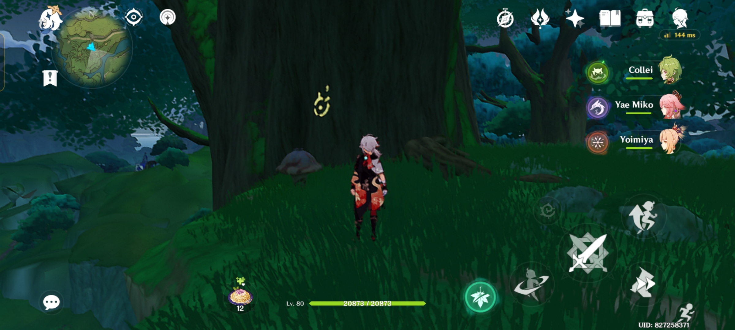 Hidden Lux chest-Apam woods Genshin Impact | HoYoLAB