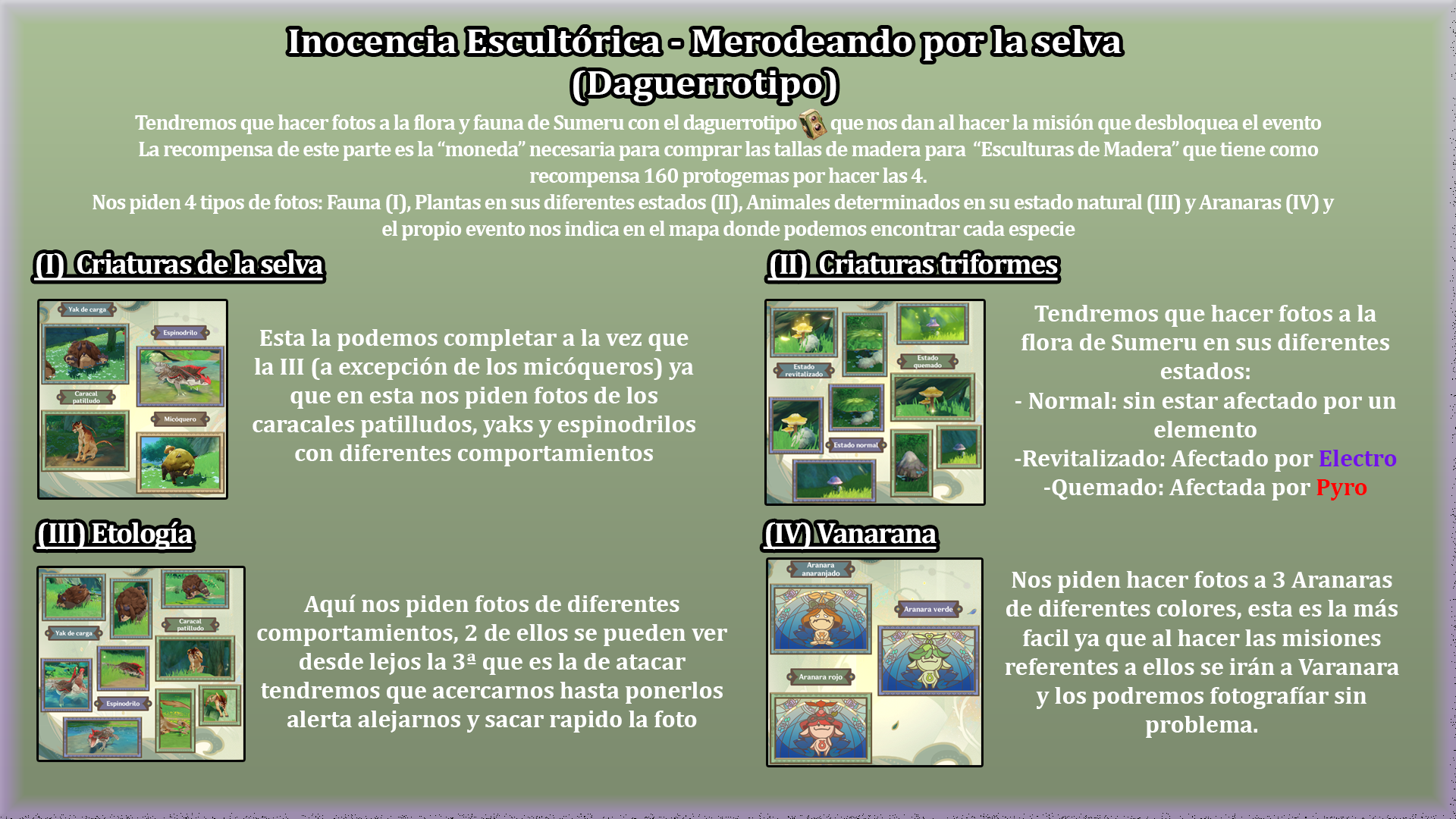 Guía Merodeando por la Selva - Daguerrotipo Genshin Impact | HoYoLAB