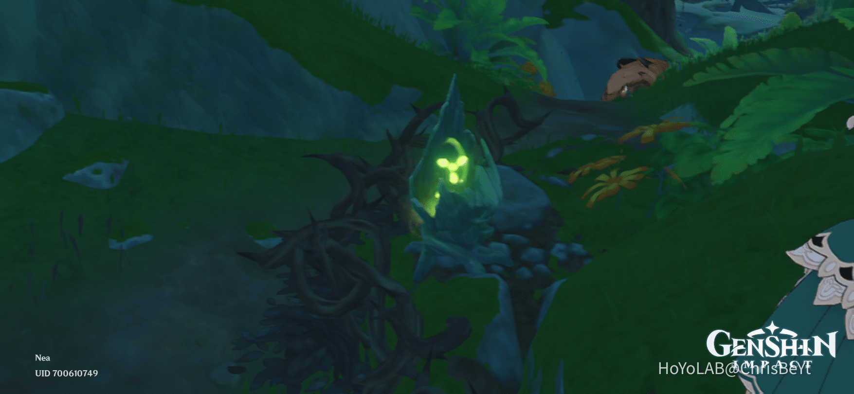 Sumeru Beginner Tips Genshin Impact | HoYoLAB