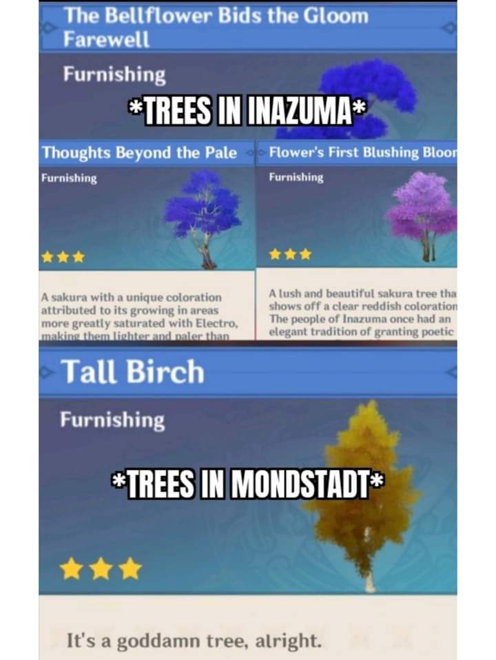 Chad trees Genshin Impact | HoYoLAB