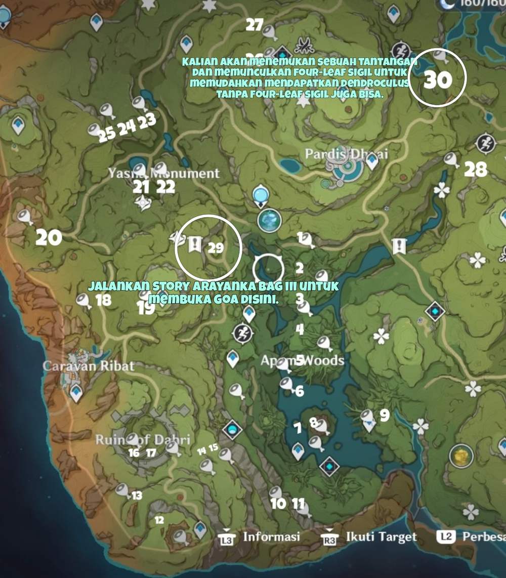 [V3.0] Seluruh Lokasi 110 Dendroculus Di Sumeru Genshin Impact | HoYoLAB