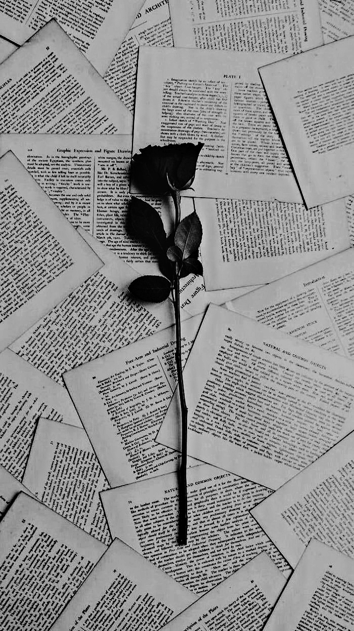 vbdj Genshin Impact | HoYoLAB