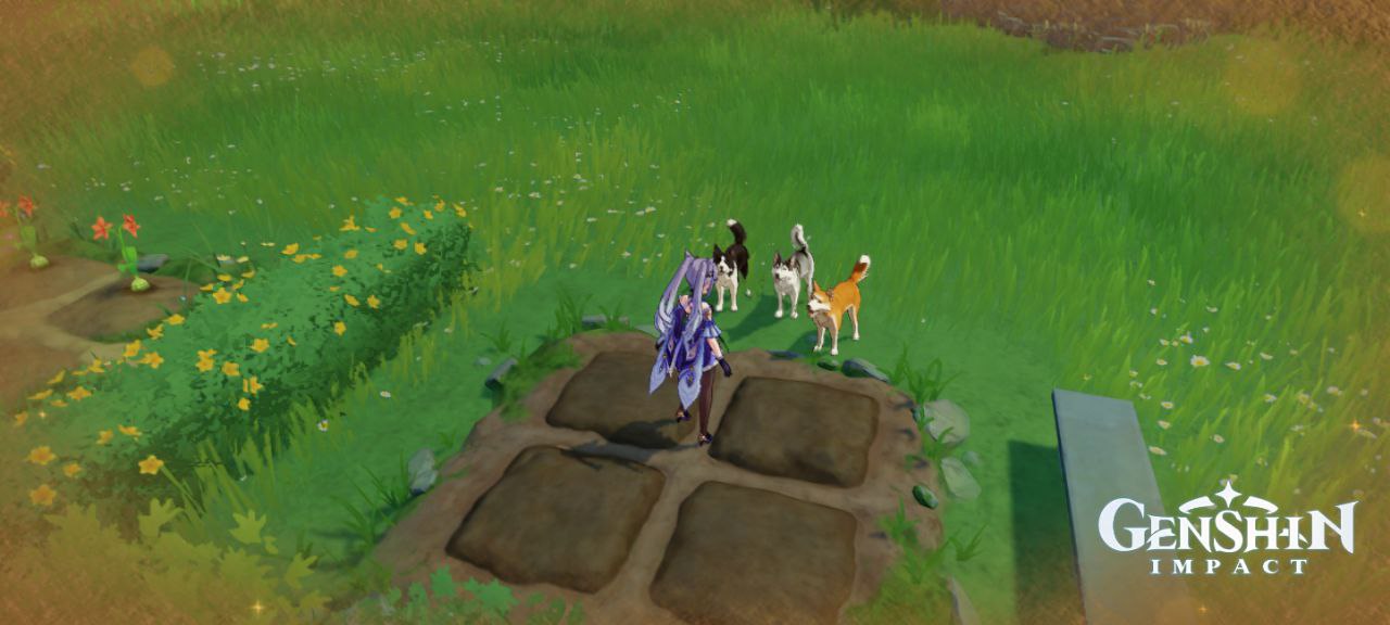 dear doggo.... | Genshin Impact | HoYoLAB