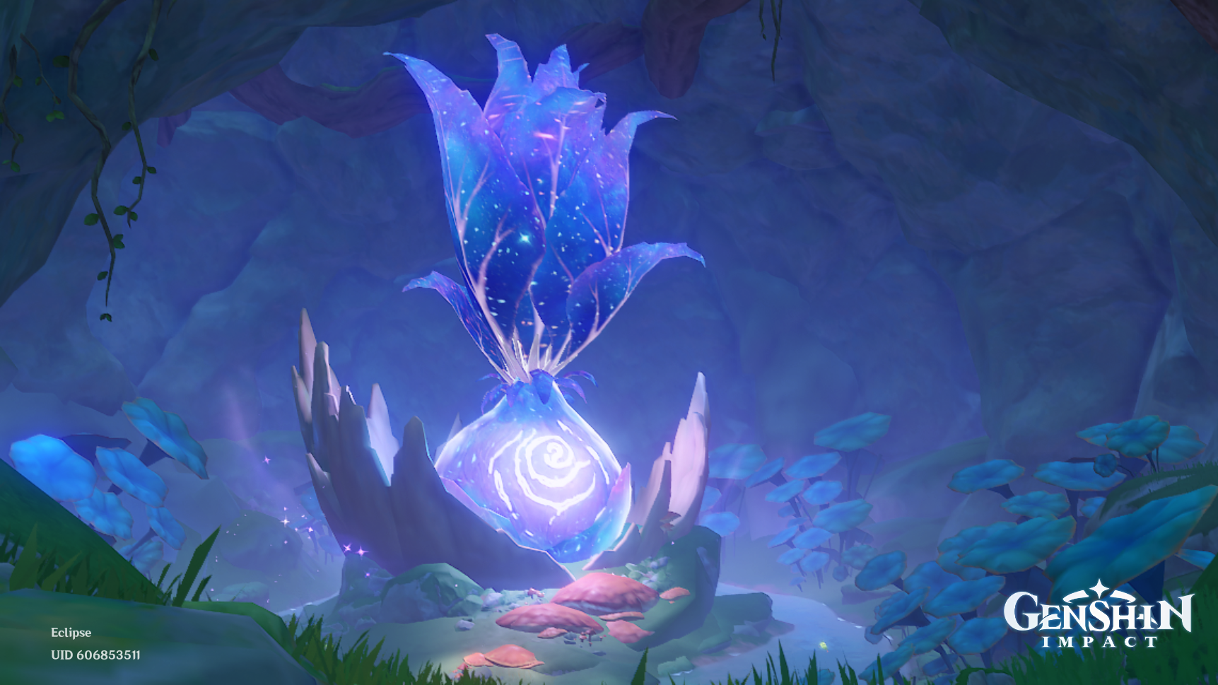 Today’s Sumeru Adventure Genshin Impact | HoYoLAB