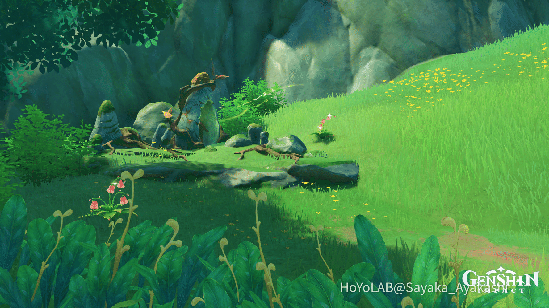 Erkundung der Karte von Sumeru – Woche 2 - Teyvat-Fotograf Genshin ...