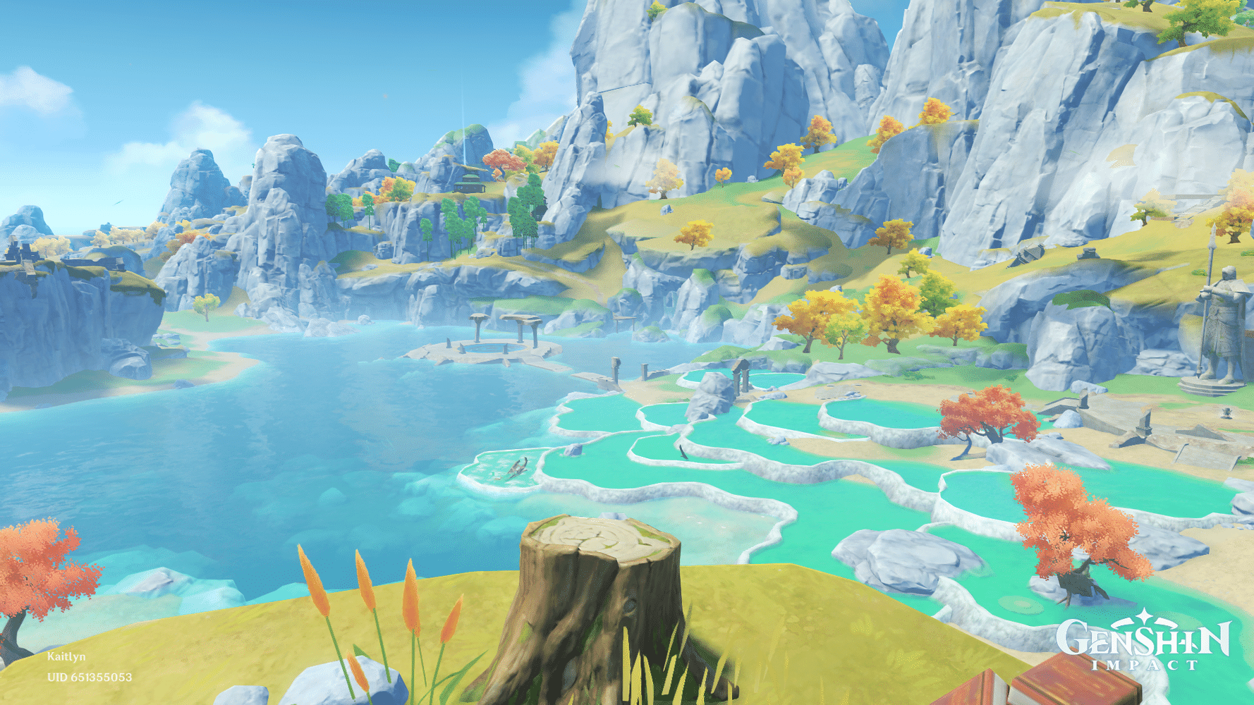 A new photographer of Tevat! Genshin Impact | HoYoLAB