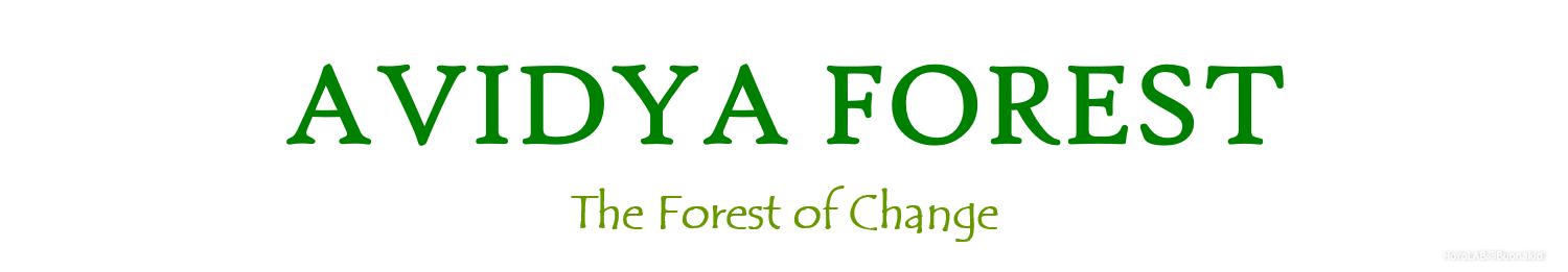 Sumeru Adventures Chapter I - Avidya Forest Genshin Impact | HoYoLAB