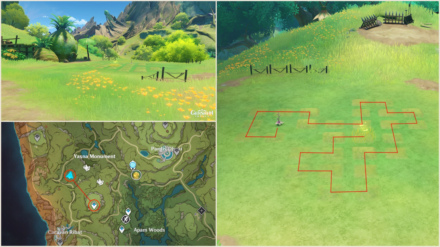 All 12 'Nurseries in the Wilds' Location & where to use 'Vasmrti ...