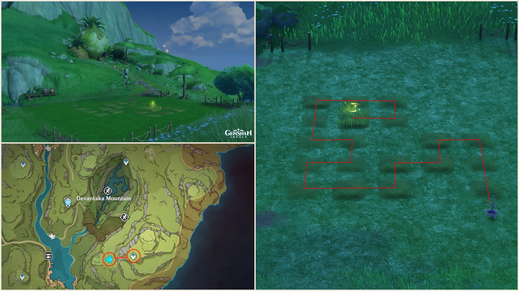 All 12 'Nurseries in the Wilds' Location & where to use 'Vasmrti ...