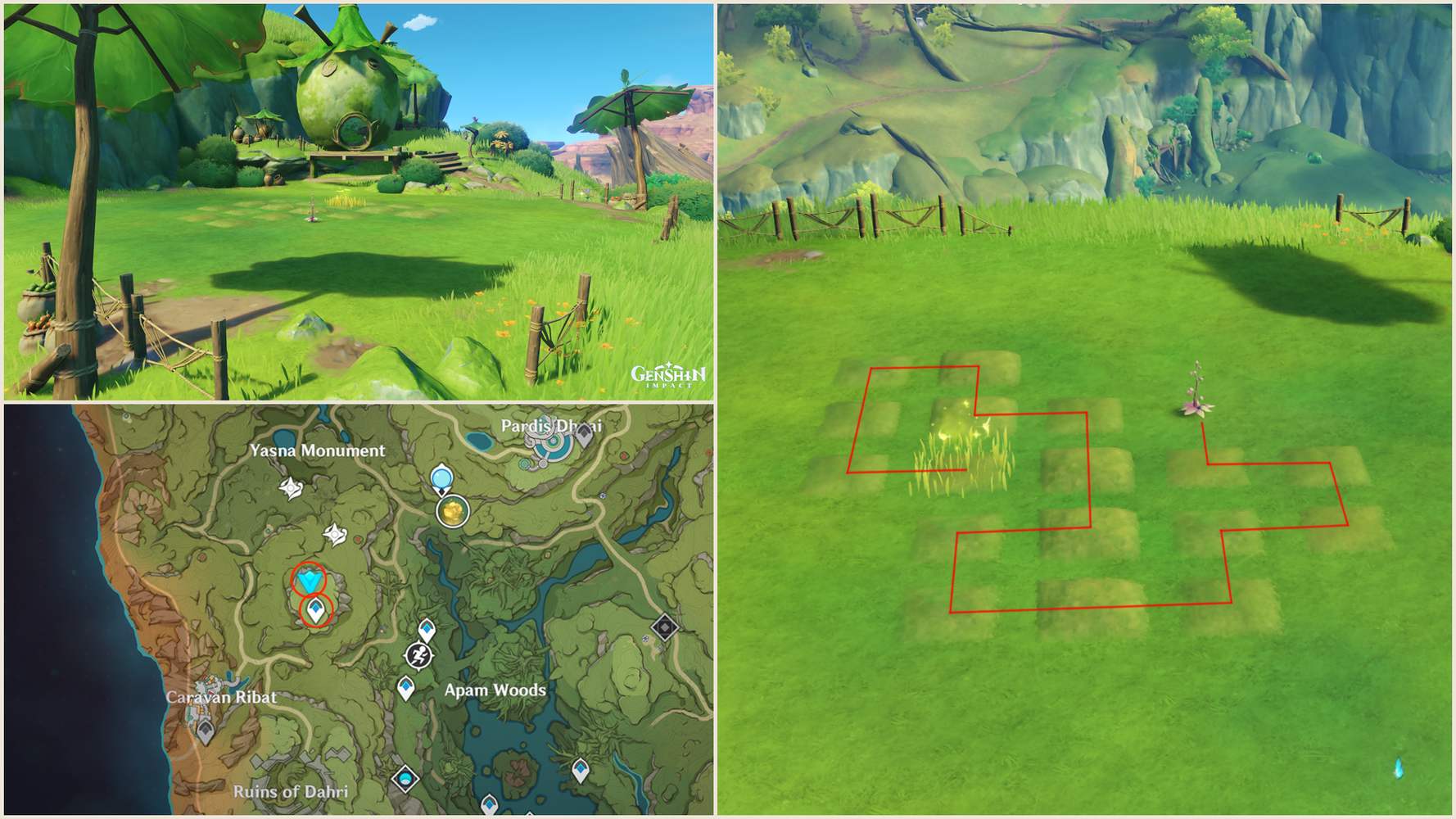 All 12 'Nurseries in the Wilds' Location & where to use 'Vasmrti ...