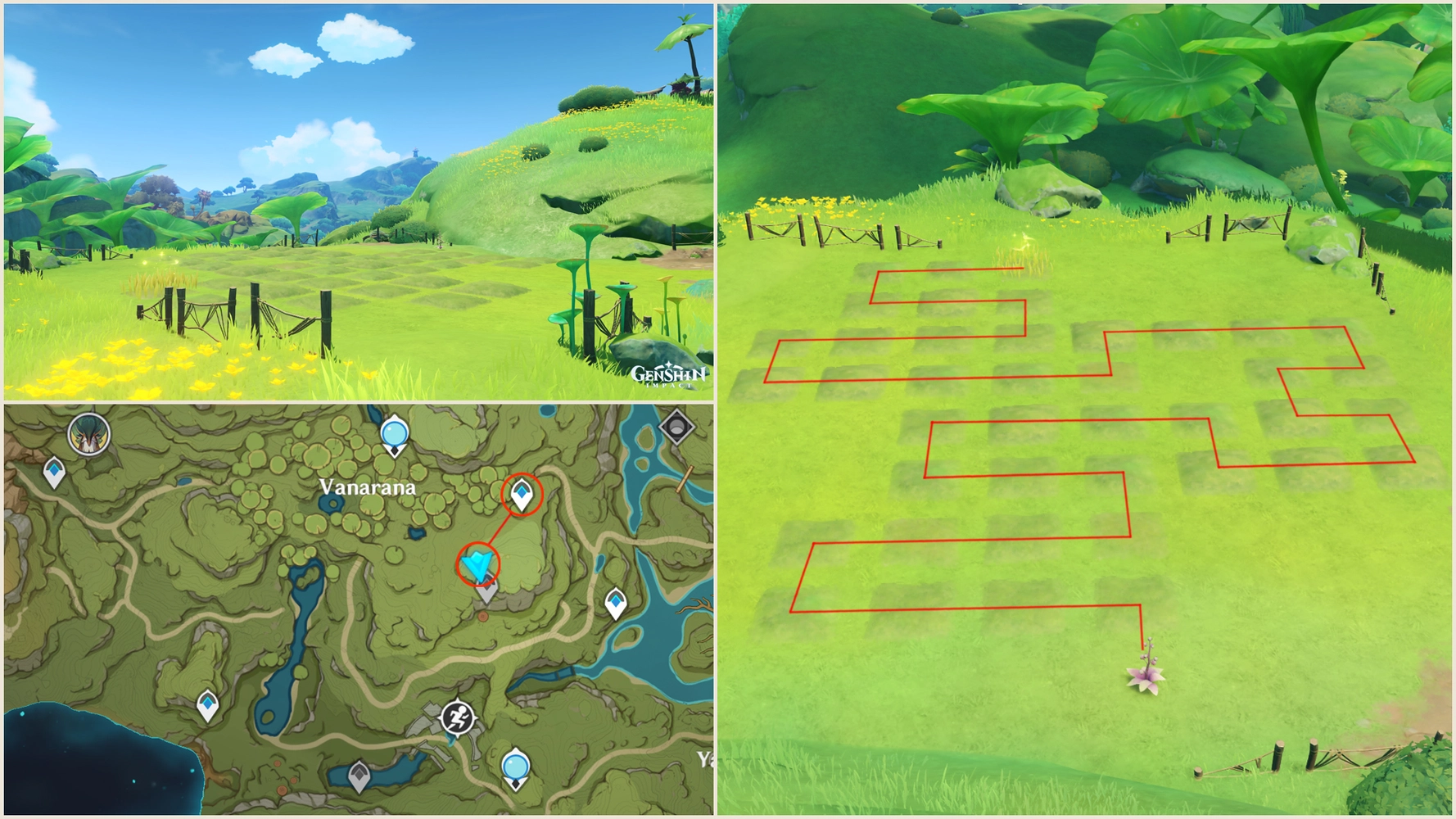 All 12 'Nurseries in the Wilds' Location & where to use 'Vasmrti ...