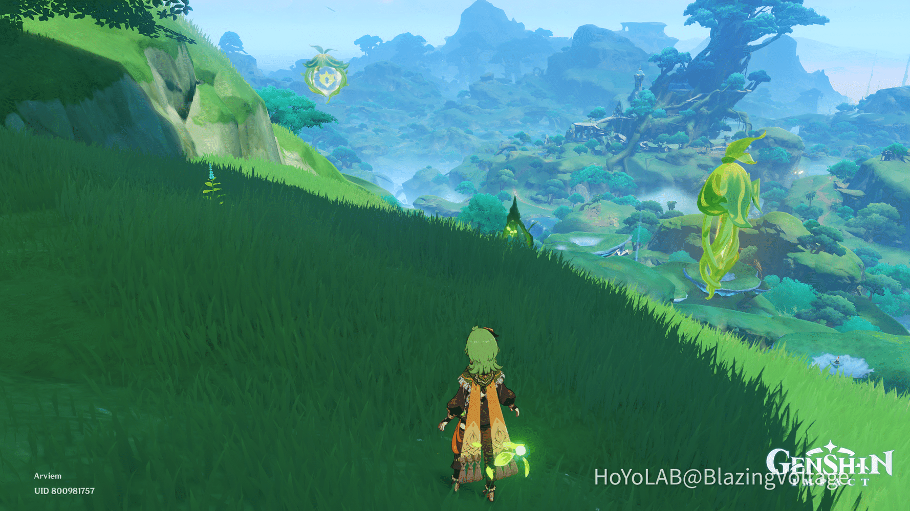 Exploring the Sumeru Map - Luxurious Mint Chest, Metamorphosis of Wood ...