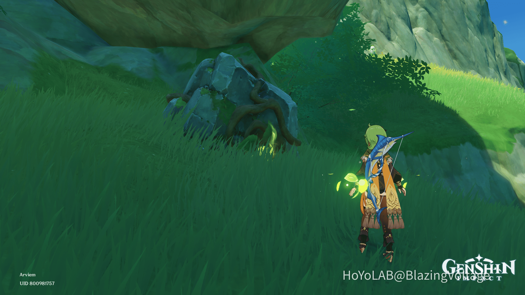 Exploring the Sumeru Map - Luxurious Mint Chest, Metamorphosis of Wood ...