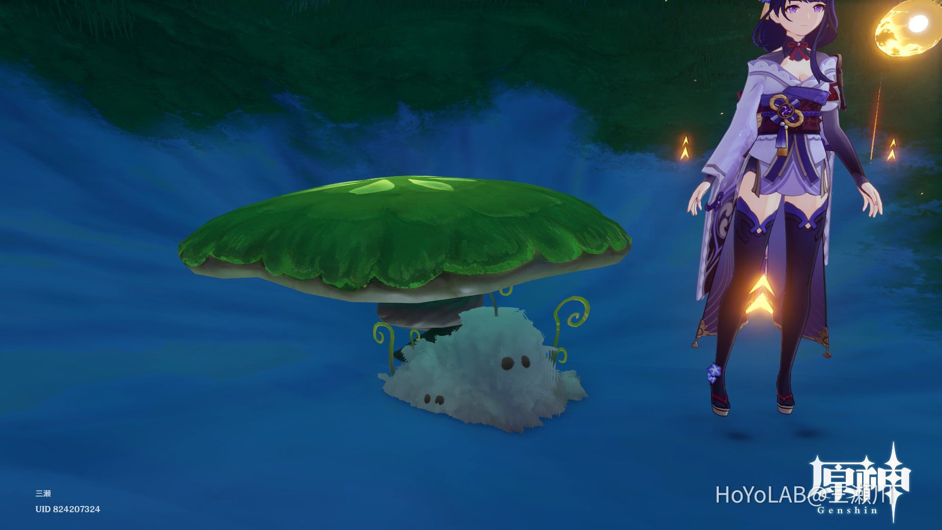 ぴょんぴょんきのこのお目目👀 Genshin Impact | HoYoLAB