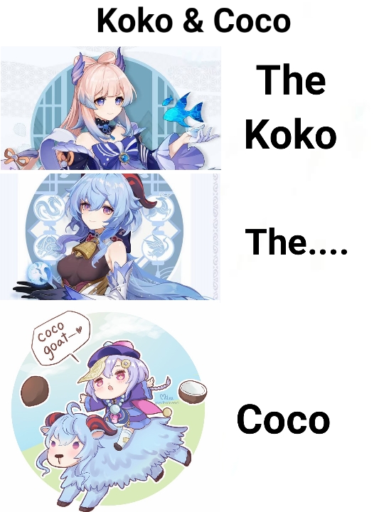 Koko & Coco rerun Genshin Impact | HoYoLAB