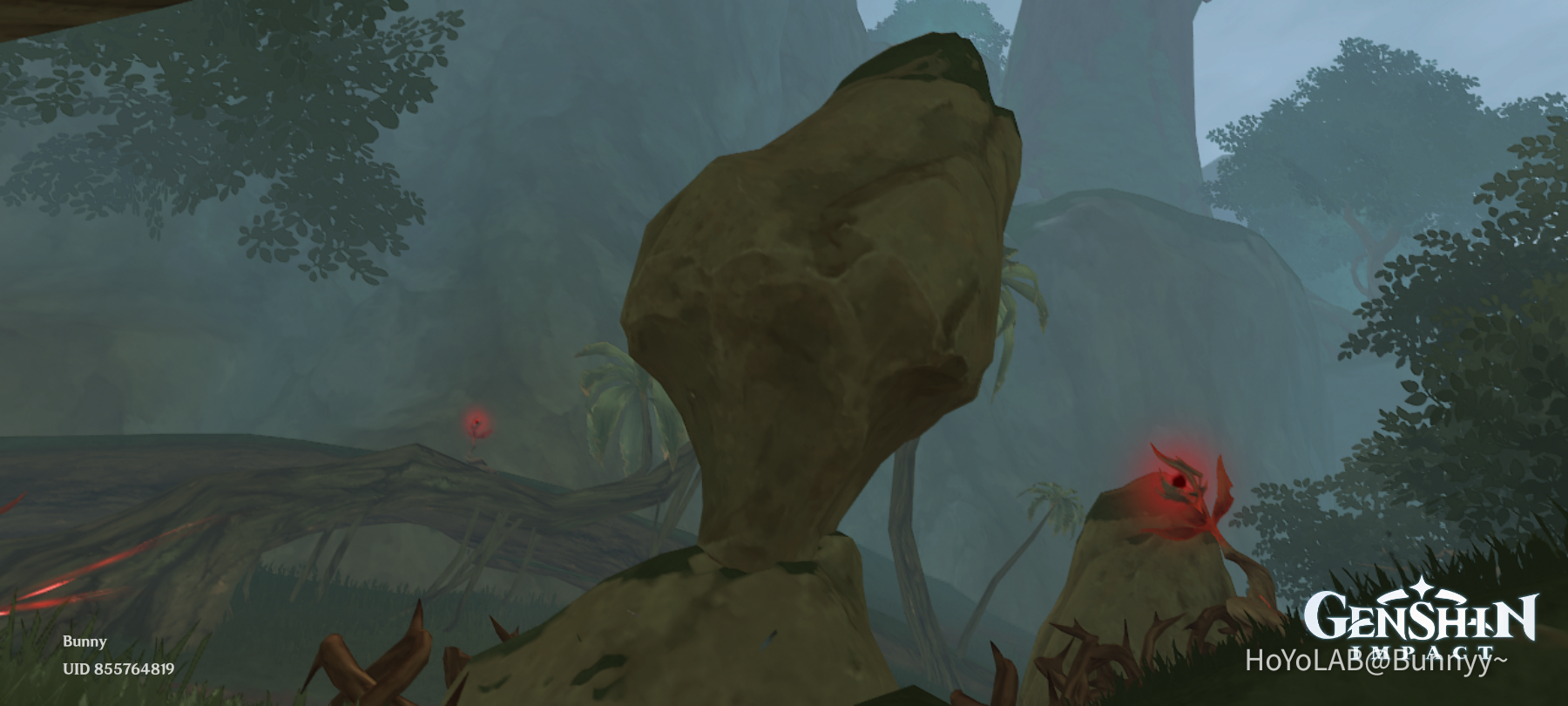 wat r these rocks Genshin Impact | HoYoLAB