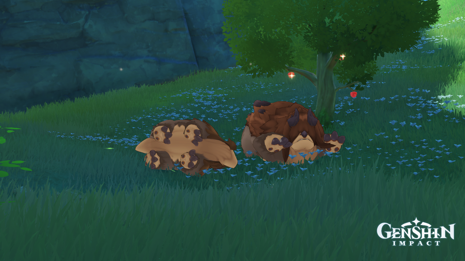 New animals Genshin Impact | HoYoLAB